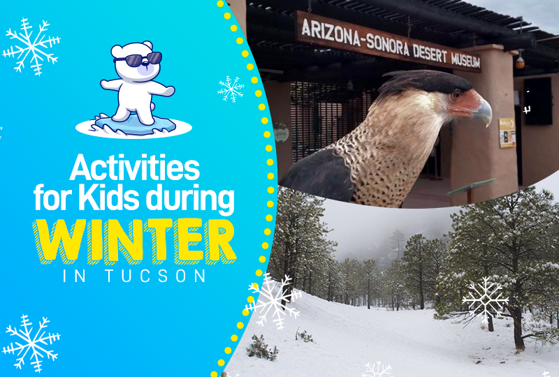 Activities for Kids during Winter in Tucson - Tucson